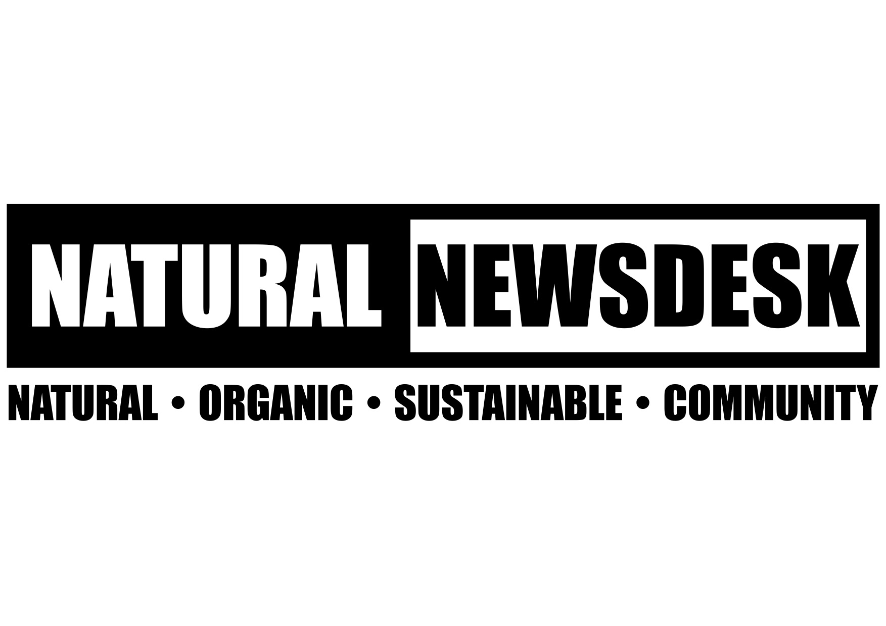 News Desk Logo The National News Desk Election 2024 Coverage Special